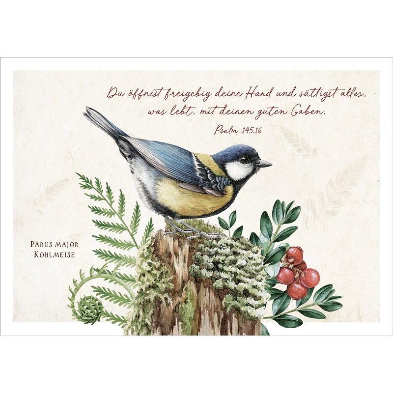 Postkarte - Kohlmeise - Psalm 145,16 - IHREMEDIEN, 1,30