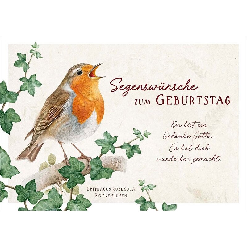 Gedanke Gottes - Rotkehlchen - Postkarte - IHREMEDIEN, 1,20