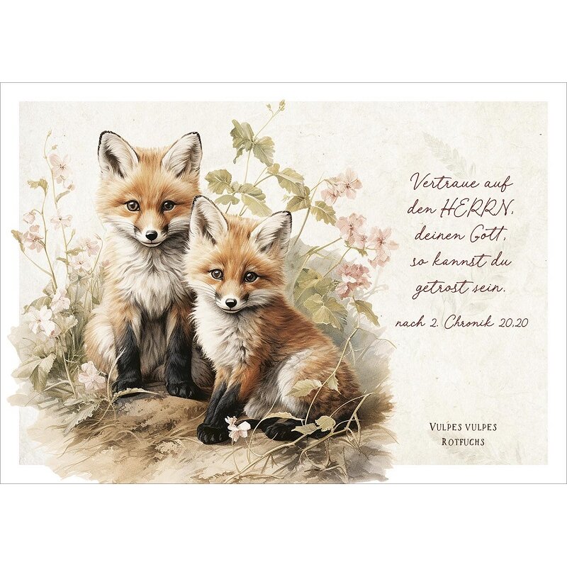 Ansprechende Grußkarte mit einer Fuchszeichnung - Tierbabys, 1,20